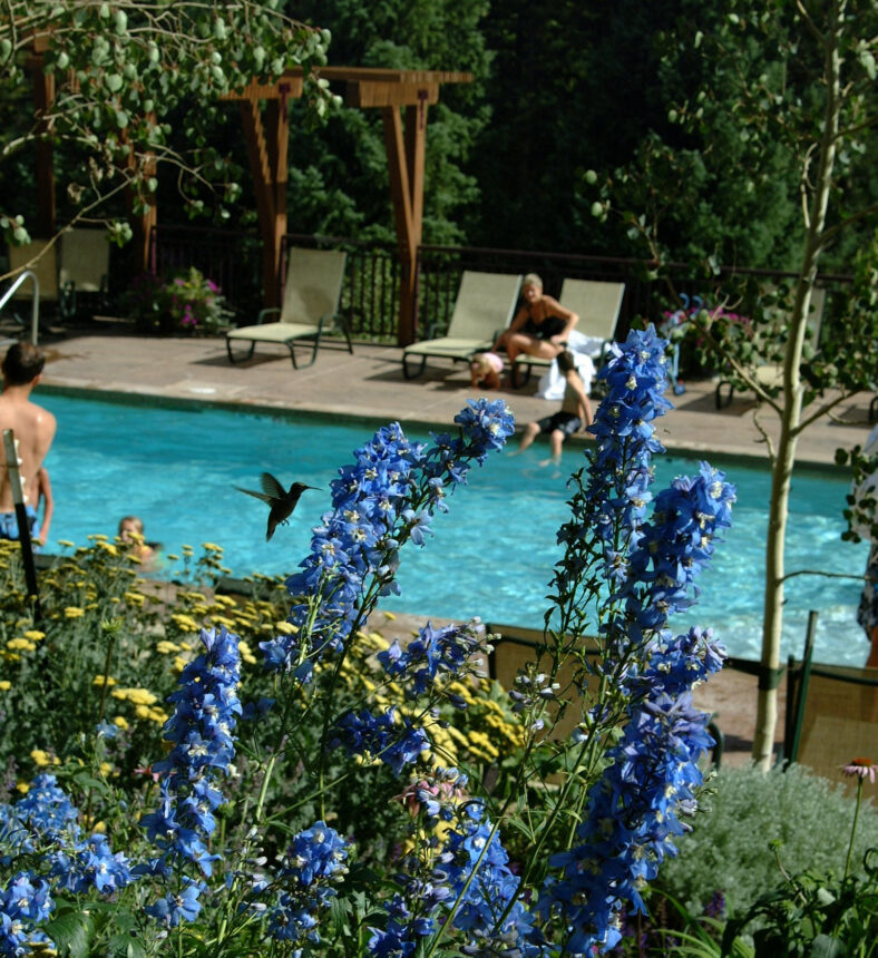 Antlers at Vail Pools & Hot Tubs