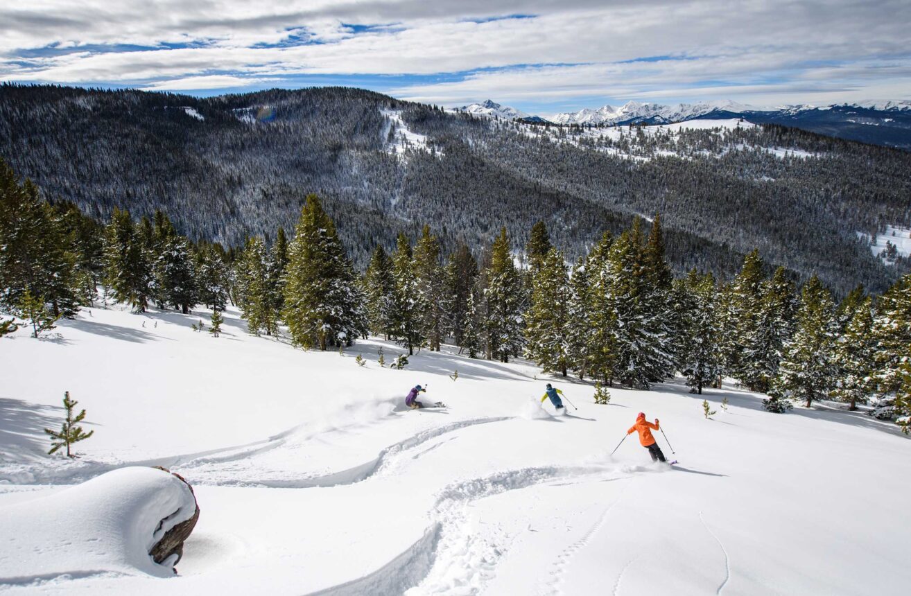 Vail Ski area map: Front Side, Back Bowls & Blue Sky Basin